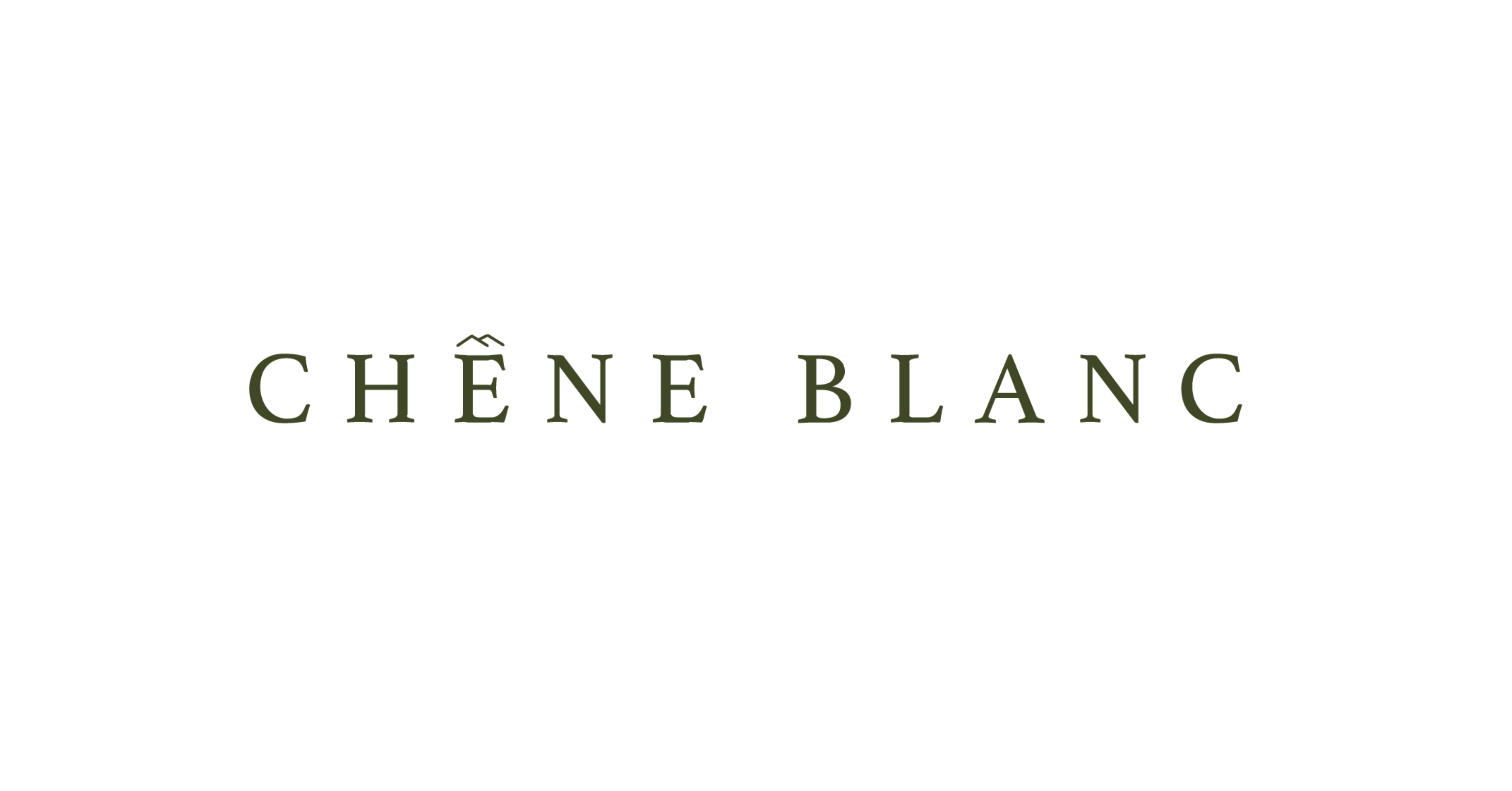 Susan Shaw Jewelry | Handcrafted Southern Elegance – Chêne Blanc